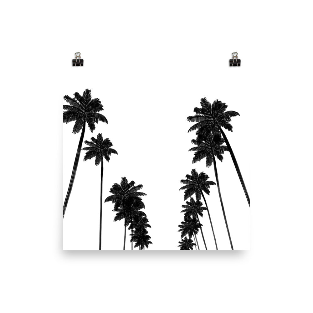 La Jolla Lineup - Large – Mayumi-Ko